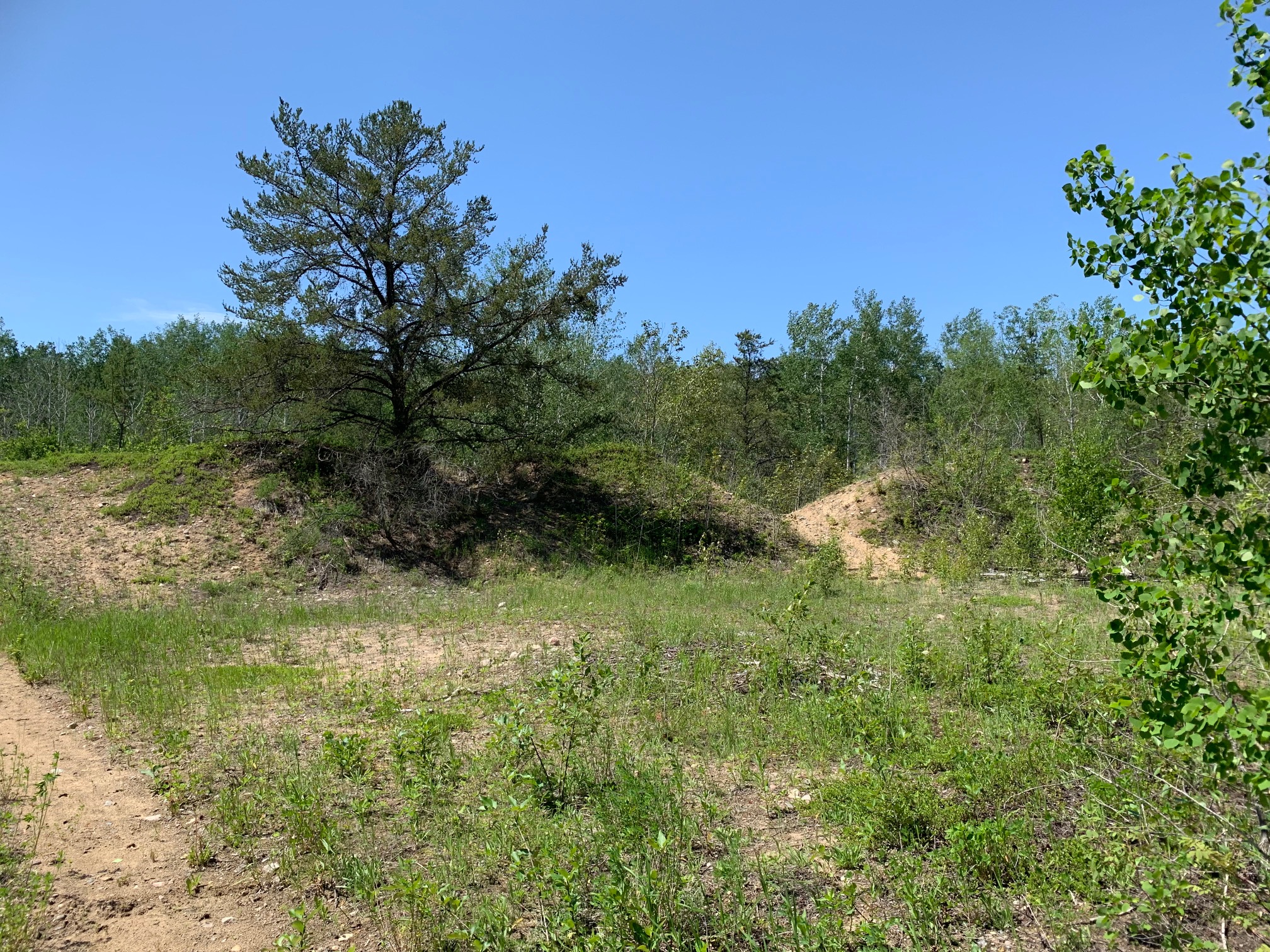 Real Estate Listings for East Beaches - Alexander, Manitoba - Ateah ...